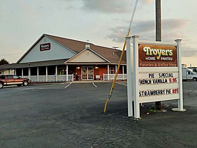 Modern convenience meets timeless tradition in this welcoming bakery that bridges old-world charm with today's pace.