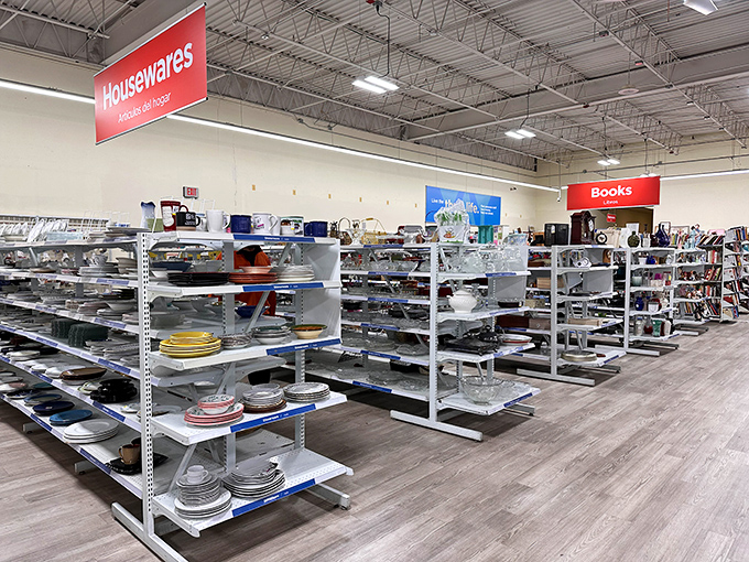 Clean, organized shelves showcase housewares like a museum of domestic dreams, where every dish tells a story.