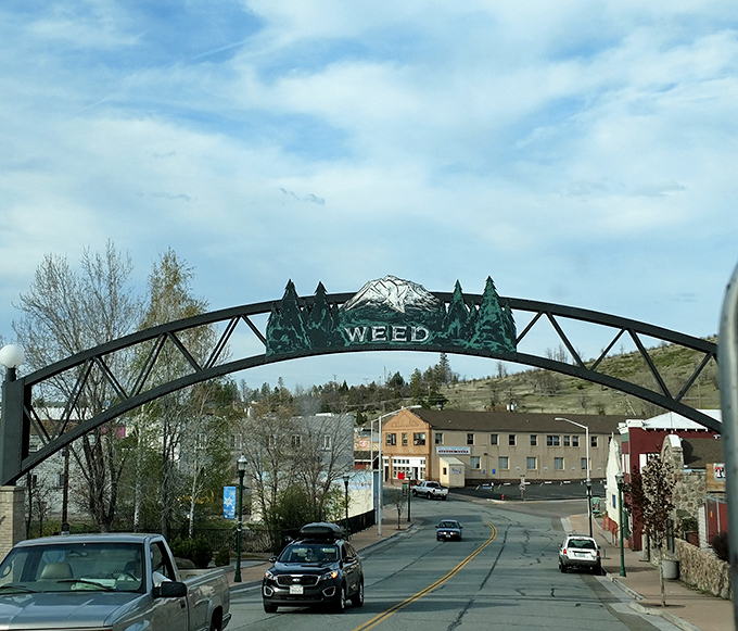 Weed's mountain backdrop makes every sunrise look like Mother Nature's personal masterpiece painted just for you.