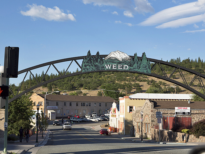 Living in Shasta's shadow means every day comes with a postcard view included.