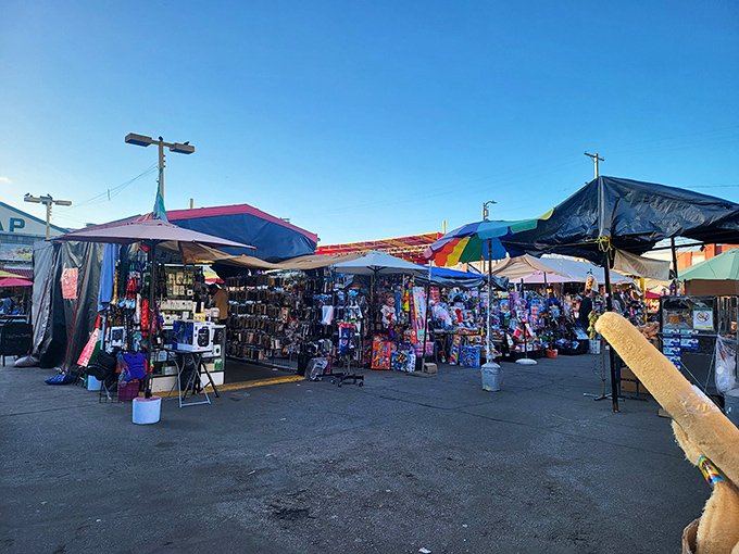 Colorful tarps and stalls stretch across the Alameda Swap Meet, guiding shoppers through a sea of treasures waiting to be found.