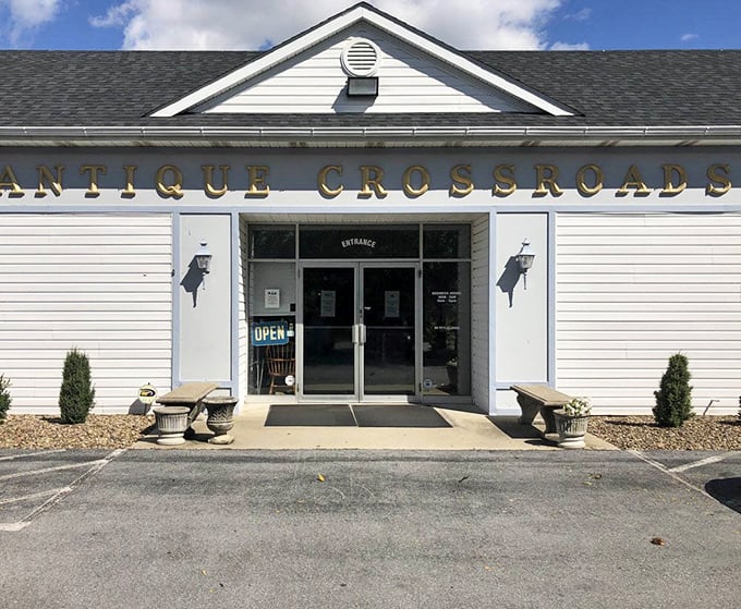 That welcoming entrance promises hours of browsing through carefully curated collections of yesterday's finest items and memories.