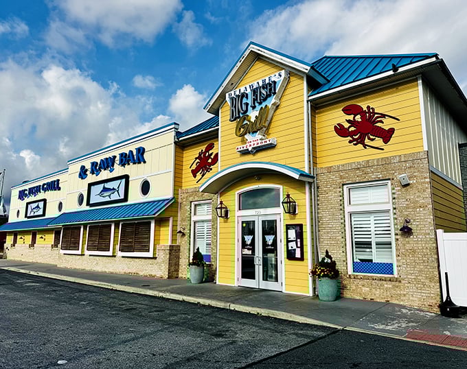 Those cheerful colors and nautical touches create an instant seaside escape from city life.