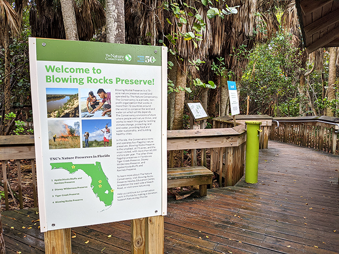 Jupiter Island's rocky rebellion against Florida's sandy beach monopoly creates pure coastal drama. 