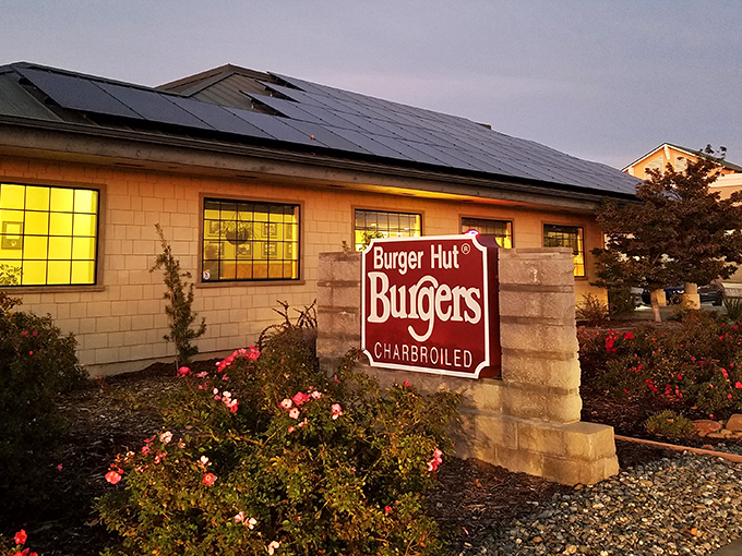 When a burger place invests in solar power, you know they're planning to flip patties for generations.