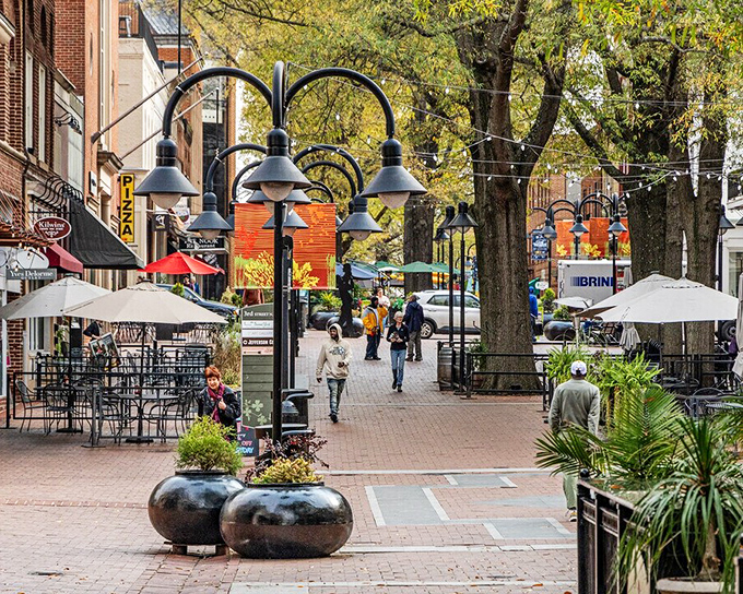 The architectural eye candy of Charlottesville proves that sometimes the view is just as stunning as the mountains beyond.
