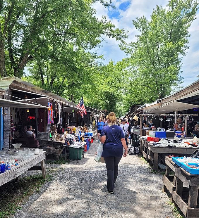 Shoppers navigate the gravel paths between vendor stalls, like explorers charting courses through islands of potential discoveries.