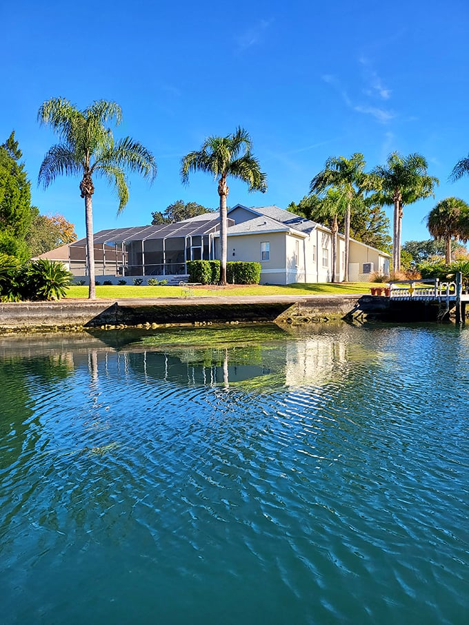 Waterfront living goals! This Crystal River home with palm sentinels proves Florida backyards beat everyone else's&mdash;by several thousand gallons.