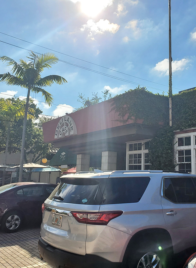 Palm trees and comfort food - only in South Florida can you find this magical combination.