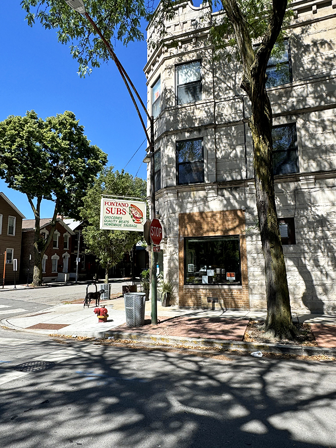 This architectural gem houses subs that are equally impressive &ndash; beauty inside and out.