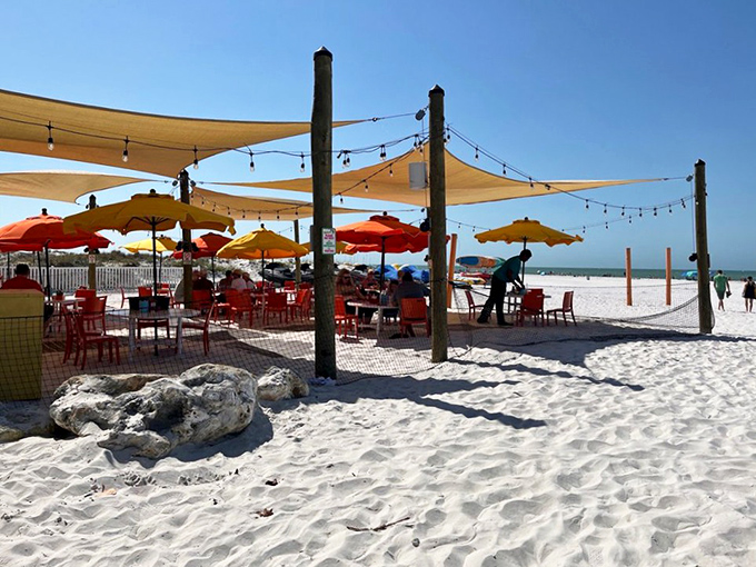 Old Florida charm meets new Florida fun - where weathered wood and cold beer create the perfect beach day recipe. 