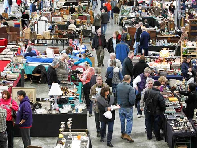 Serious collectors gather like treasure hunters at a gold rush - the indoor buzz of discovery fills every corner.