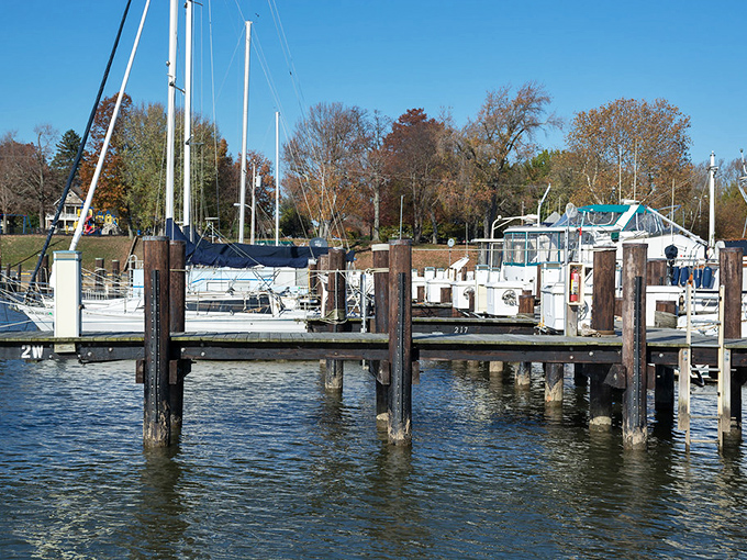  Havre de Grace marina - where boats rock like porch swings and nobody's checking their watch.