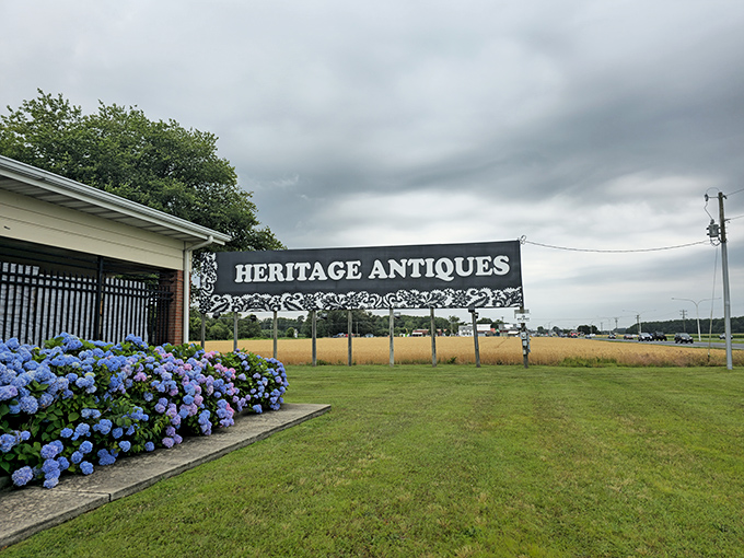 The sign stands tall like a sentinel guarding history. Those blue hydrangeas aren't just pretty&mdash;they're nature's way of color-coordinating with vintage finds.