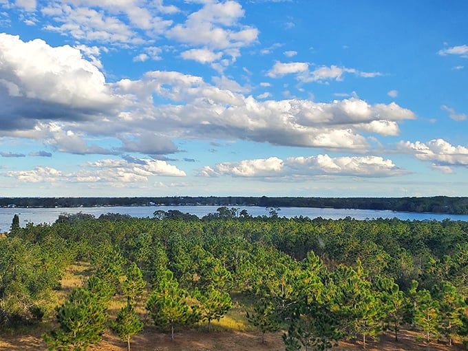 Gorgeous skies and endless greenery surround peaceful waters in Lake Placid, offering a tranquil scene perfect for relaxation.