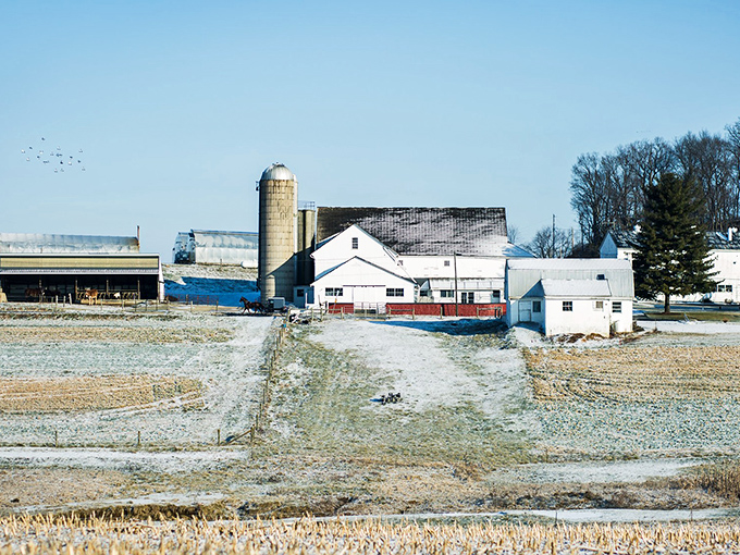 Winter frost creates a crystalline wonderland, transforming everyday farm buildings into something almost ethereal.