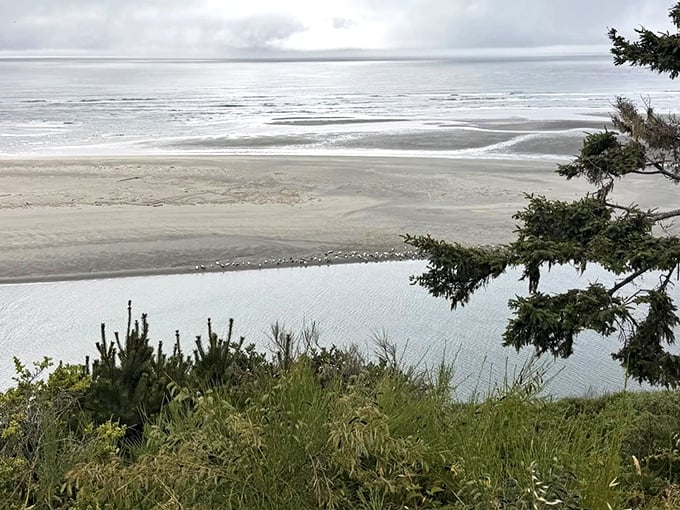 Rolling green hills meet endless ocean views, creating a postcard scene without the postcard prices.