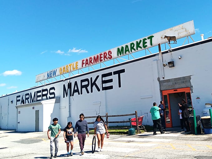 Family shopping trips become mini-adventures when everyone finds something special to take home together.