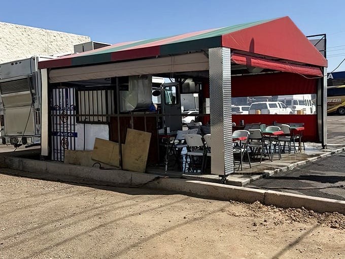 Street food magic happens when passionate cooks focus on flavor over fancy decorations and presentations.