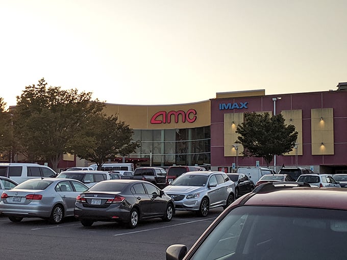 Kids splash joyfully in fountains while parents plan their next shopping conquest in this perfectly balanced retail environment.
