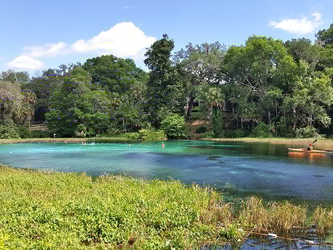 "Fifty shades of green surround this blue jewel. The contrast between forest and spring water is like nature's version of a perfect color palette."