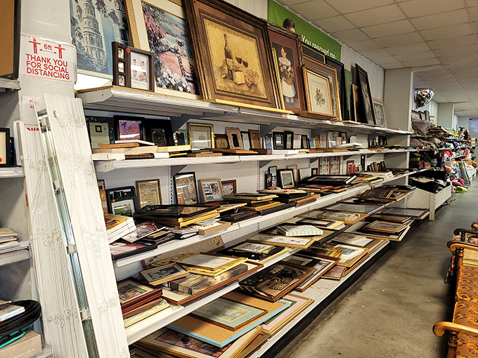 Those perfectly organized picture frames prove that even thrift stores can display their wares like art galleries.