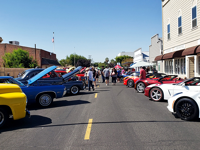 Classic car shows transform ordinary streets into rolling museums where chrome bumpers shine brighter than Hollywood spotlights.