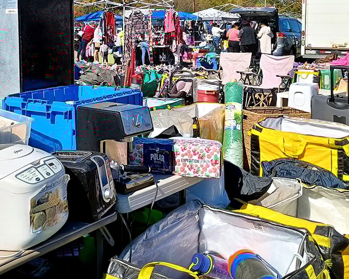 Tables loaded with treasures stretch as far as the eye can see. At Salem Flea Market, one person's spring cleaning becomes another's jackpot!