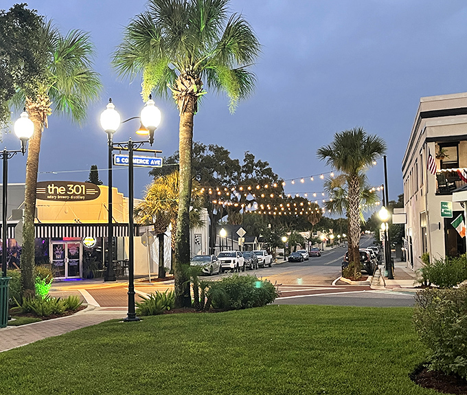 Where palm trees sway over parking lots, reminding you this is Florida's version of small-town charm.