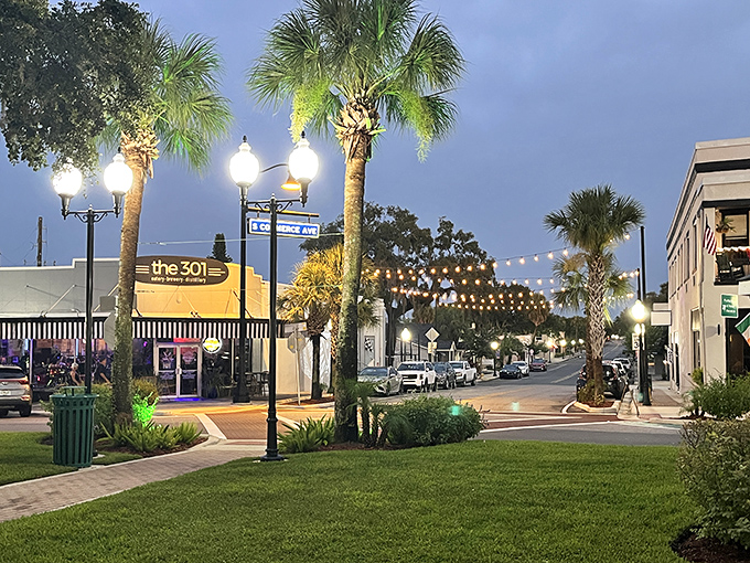 Evening lights twinkle like stars brought down to earth for neighborhood magic