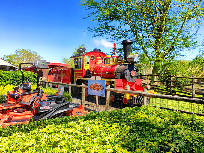 Who needs Africa when Florida's own safari train delivers zebras, giraffes, and memories right to your window?