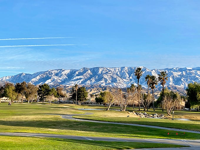 Green lawns in desert settings - like finding an oasis that actually fits your Social Security budget.