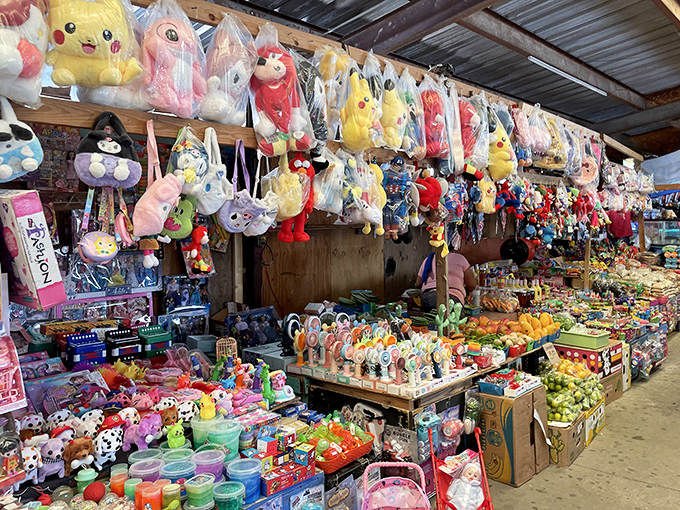 Rainbow umbrellas and organized chaos create the perfect storm for serious treasure hunting adventures ahead.