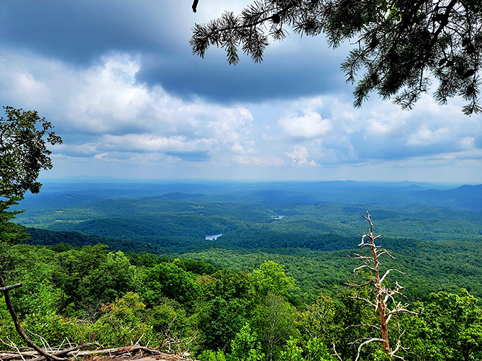 Mountain majesty on display! This rolling green carpet of wilderness stretches to forever, making your everyday problems suddenly seem hilariously small.