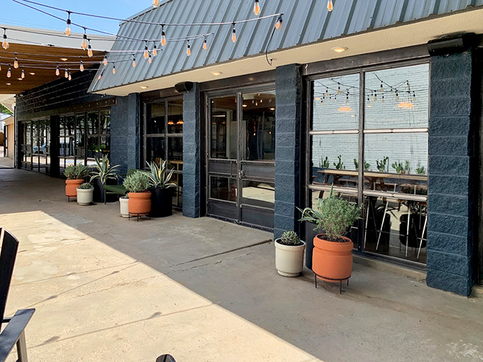 String lights and potted plants make The Salty Donut feel more like a hip caf&eacute; than your grandpa's donut shop.