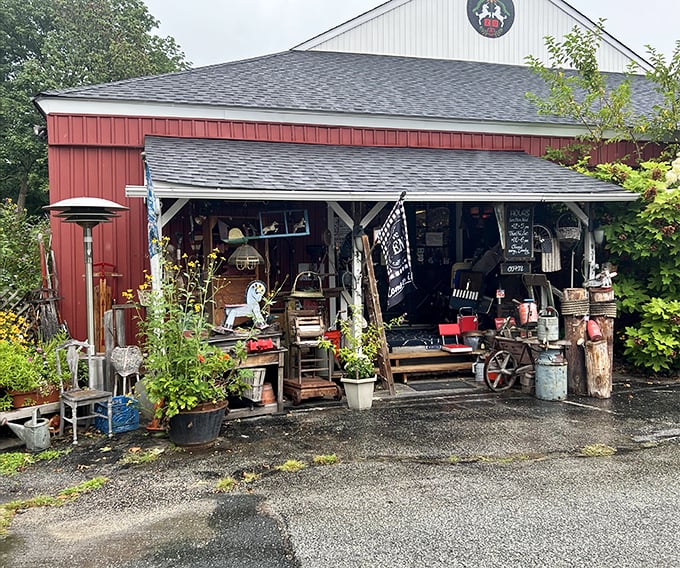 When flags are flying and treasures are calling, you know you've found something special.