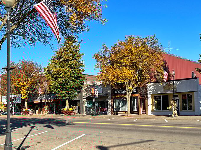 Fall colors frame downtown like nature's way of saying "you picked the right place."