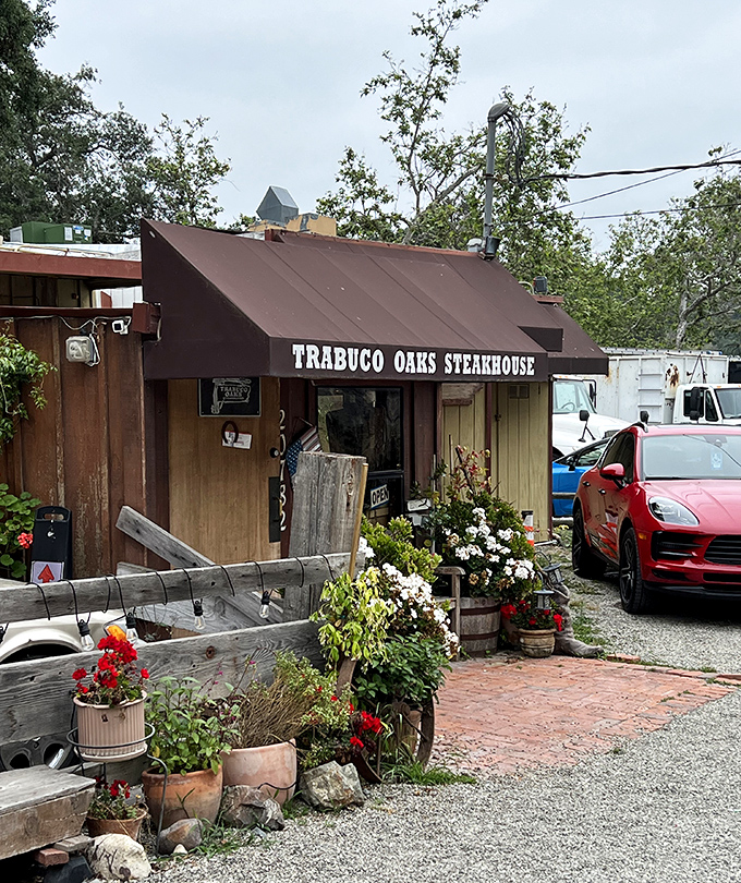 The cozy cottage atmosphere suggests intimate dinners where every steak gets personal attention from the grill.