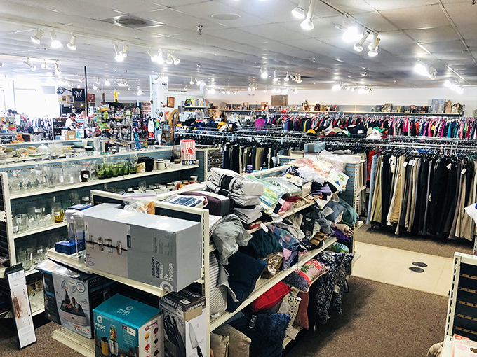 Inside this warehouse of wonders, your shopping list becomes more like a treasure map with endless possibilities ahead.