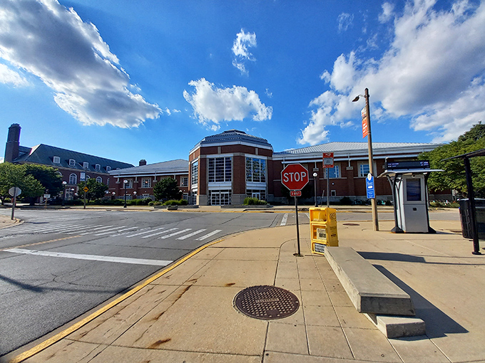 This bustling street scene captures the perfect blend of academic culture and community-focused business spirit.
