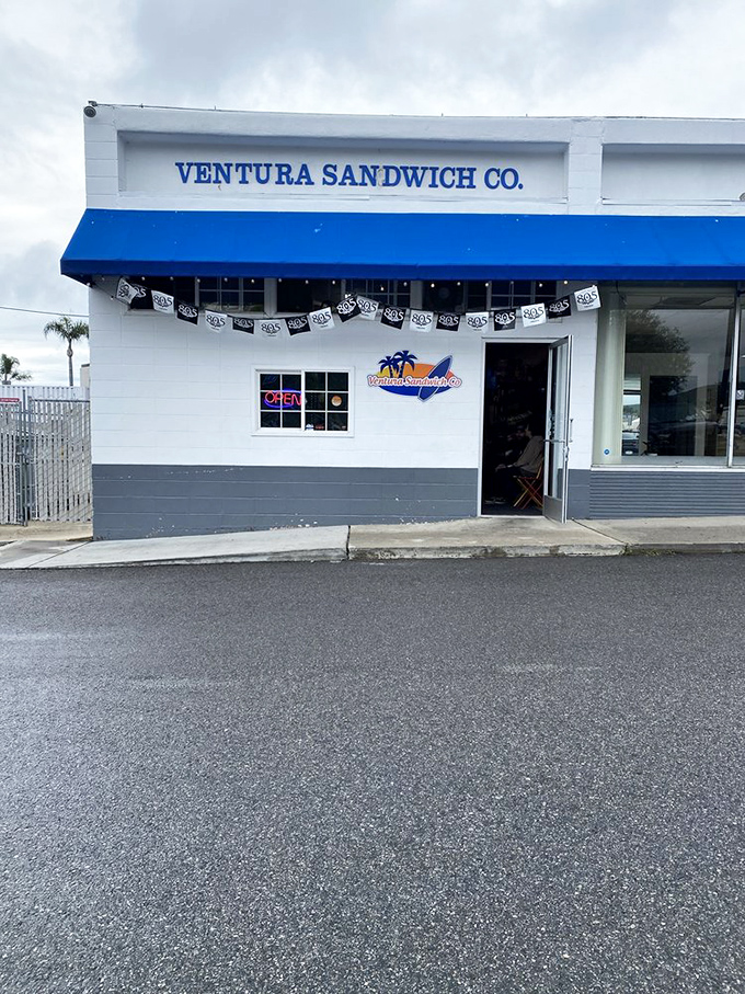 That blue and white color scheme whispers "coastal casual" while the sandwiches shout "absolutely delicious!"