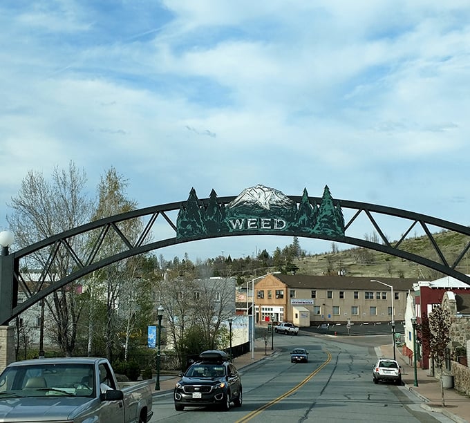 Don't judge this book by its cover – Weed offers respectable living at unbeatable prices.