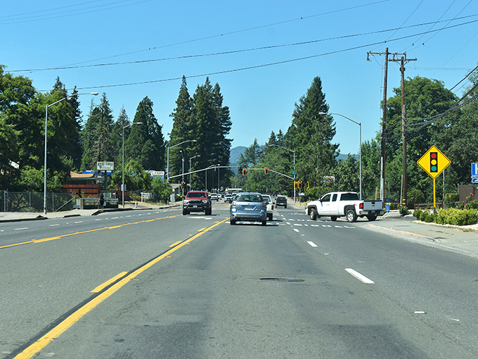 Willits' tree-lined highway feels like nature's welcome mat&mdash;just follow the yellow signs to small-town paradise.