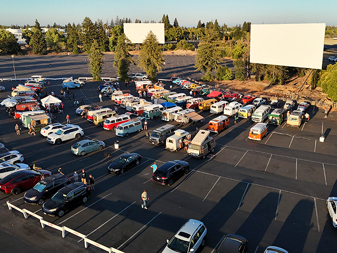 From above, the drive-in transforms into a community of movie lovers. Each vehicle becomes a private living room under the vast California sky.