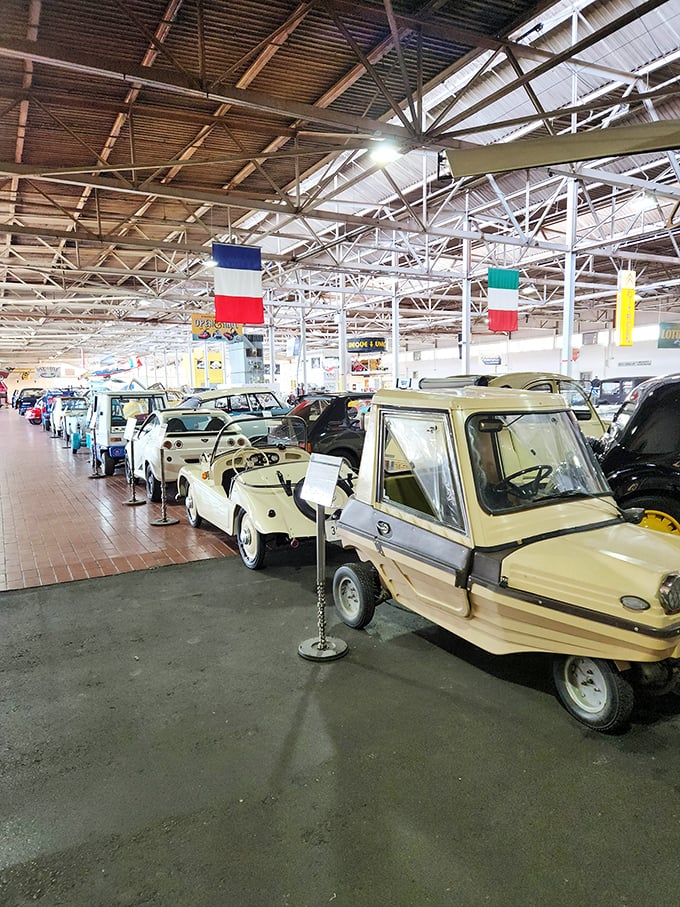 Vintage Vespas line up like Italian fashion models, each one a testament to style.