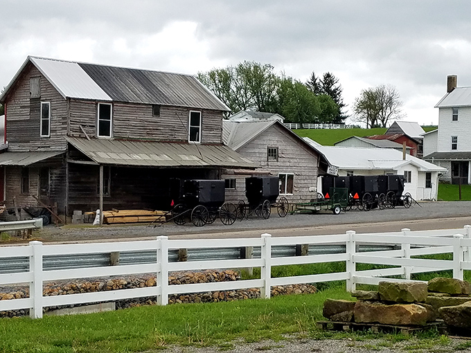 Where worlds meet: Amish buggies parked outside a weathered wooden workshop offer a glimpse into the simpler lifestyle that thrives alongside modern Millersburg.