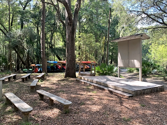 Nature's classroom awaits at this rustic amphitheater. Rangers share spring secrets while colorful kayaks stand ready for aquatic exploration.