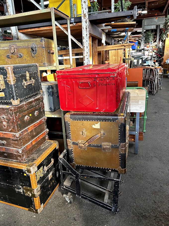 These vintage trunks have probably crossed more oceans than most cruise ship captains. Each scratch tells a story.