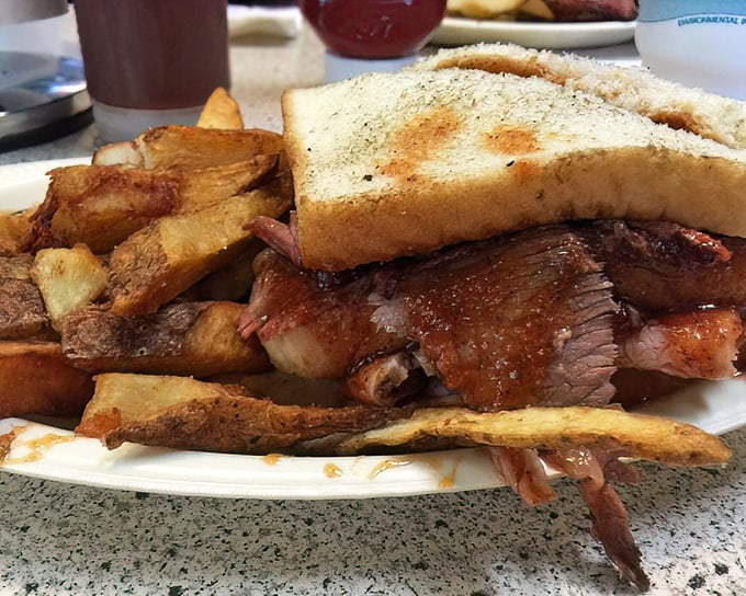Architecture that matters: layers of smoky meat, perfectly stacked between bread with fries standing guard on the side.