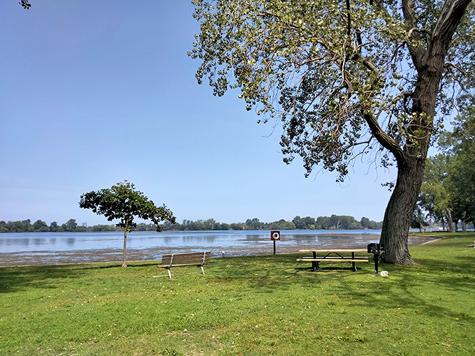 A peaceful lakeside retreat complete with bench seating&mdash;nature's waiting room with a view that beats anything you'll find at the doctor's office.